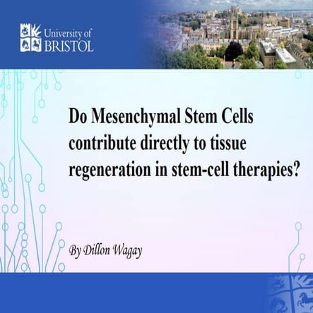 Presentation on mesenchymal stem cells and tissue regeneration. | PPTX