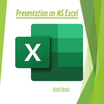 Presentation on MS Excel-4.pptx