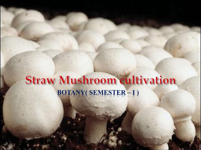 Classification of mushrooms | PDF
