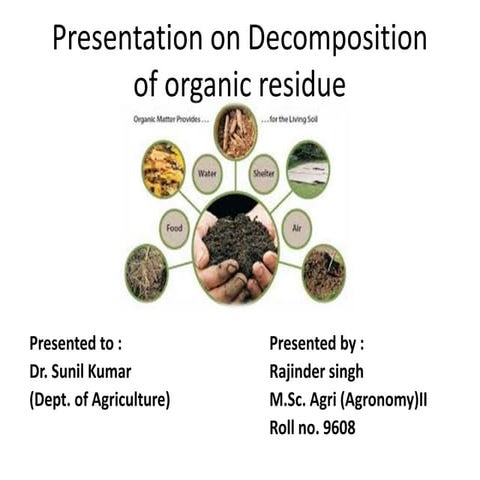 organic matter decomposition