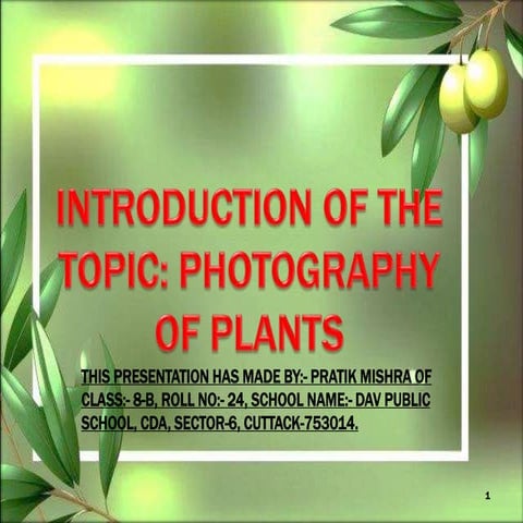 Second Grade Science: Plants | PPT