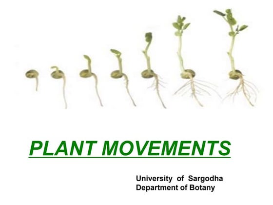 Movement in plants | PPTX | Gardening | Home & Garden