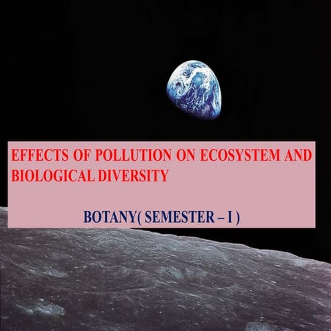 Presentation_on_Pollution on the earth.pptx