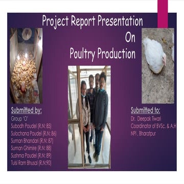 Broiler SBA.docx for agricultural science csec | DOCX