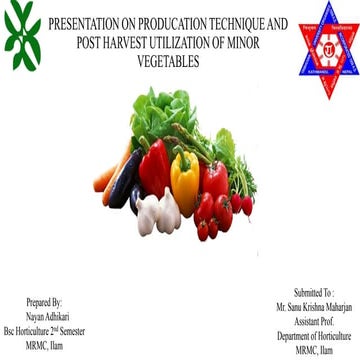 cutivation practice minor vegetables | PPTX