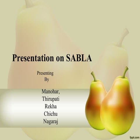 Presentation on sabla | PPT | Family and Relationships