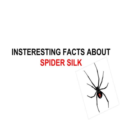 Spider Silk | PPT