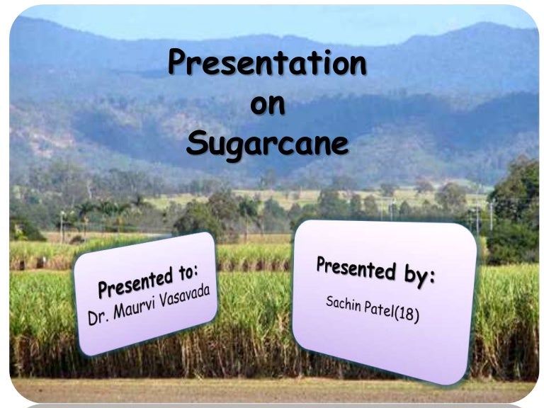 Presentation on sugarcane