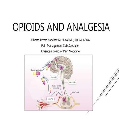 Opioids | PPT