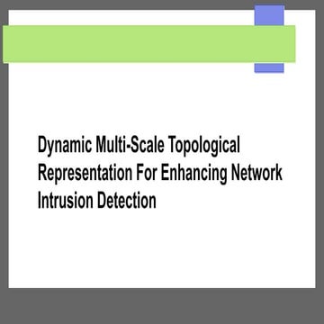 Dynamic Multi Scaled Topological Representation For Enhancing Network Intrusion Detection System