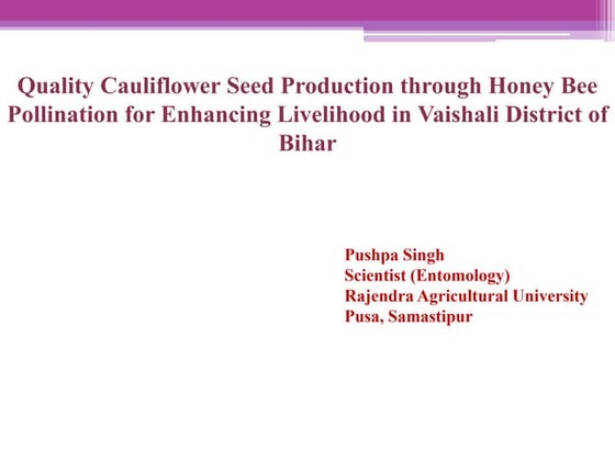 Doubling Income of Cauliflower Seed Producer Farmers of Vaishali ...