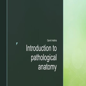 Presentation path anatomy.pptx