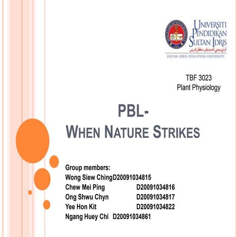 Presentation pbl by chinchilla | PPT