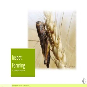 Prospects of Insect Farming | PPTX