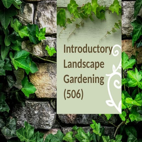 Presentation on plant size - Copy.pptx slideshear | PPT