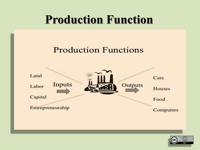 SHORT RUN production function | PPTX | Business | Business and Finance