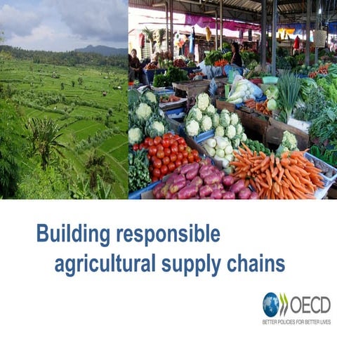Presentation on Building responsible agricultural supply chains | PPT