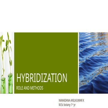 Artificial hybridization class 12 project | PDF