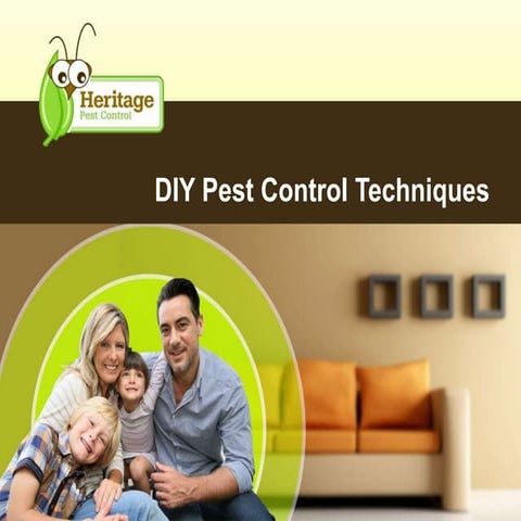Reliable Pest Control in Dover for a Safer Home | PPTX