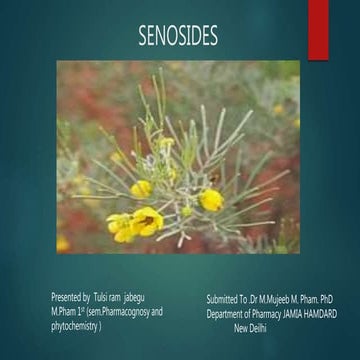 Presentation senna | PPTX