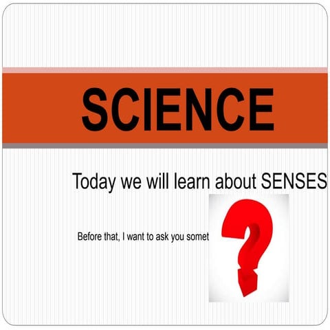 Presentation Senses Year 1 Science Pptx