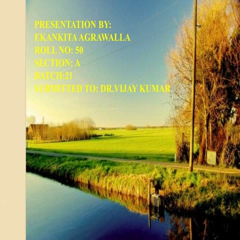 Rivers of India | PPTX