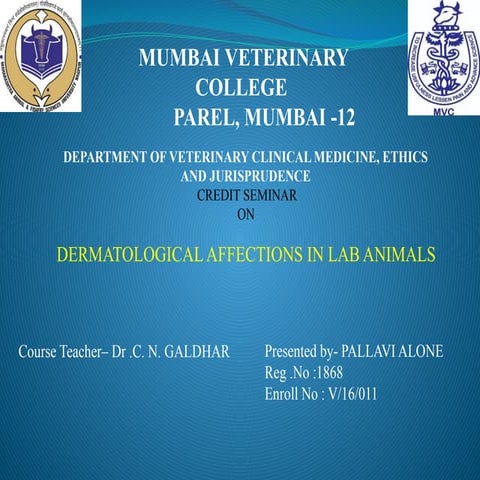 Presentation skin (1)11111111.pptgfjkftkuylkfujdjx | PPT