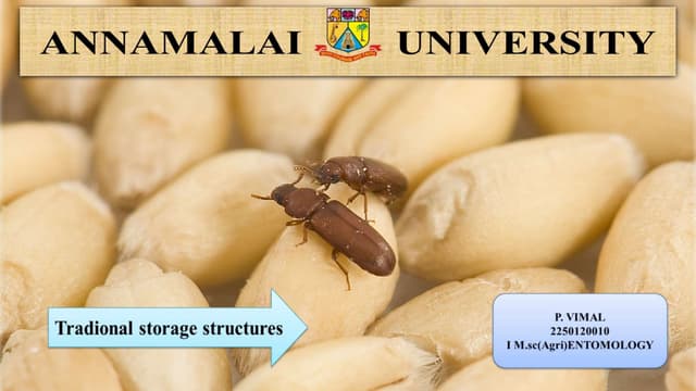 Traditional storage structures | PPTX