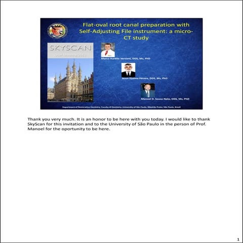 Flat-oval root canal preparation with Self-Adjusting File instrument: a ...