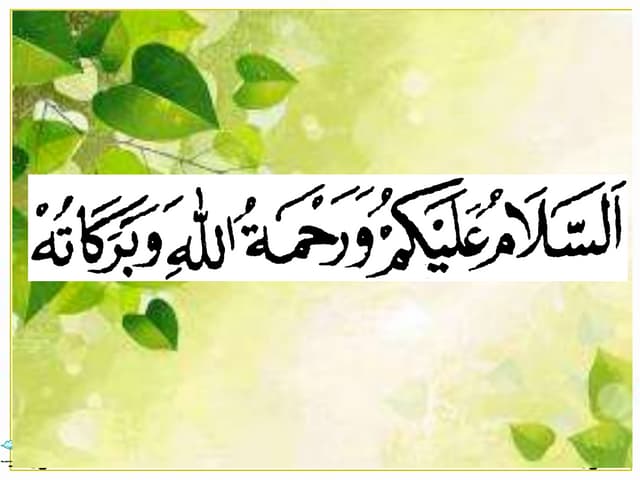 PPT Morfologi Tumbuhan - Tata Letak, Rumus, dan Diagram Daun | PPTX