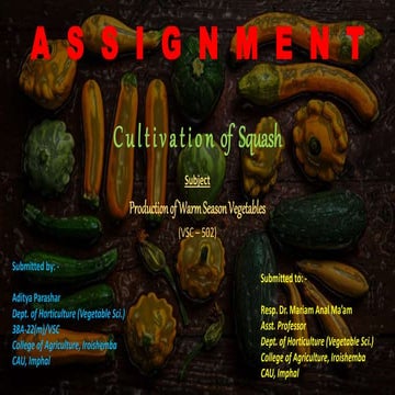 Production / Cultivation of Summer and Winter Squash.pptx