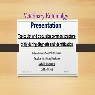 Common structure of fly | PPT