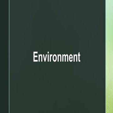 Environment Presentation (Temina Kazi).pptx