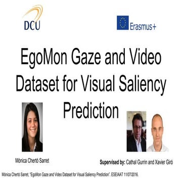 EgoMon Gaze and Video Dataset for Visual Saliency Prediction | PDF