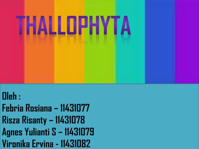 Thallophyta dan Spermatophyta diperairan.pptx