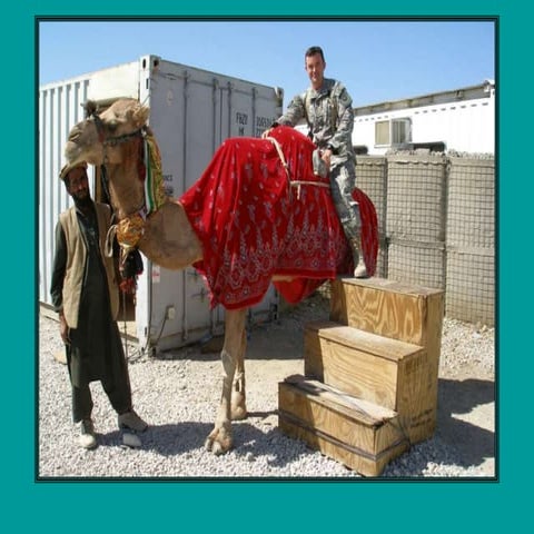 DeVry University Health Information Technology Practicum Internship ...