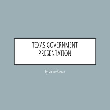 Presentation Tx Government | PPT