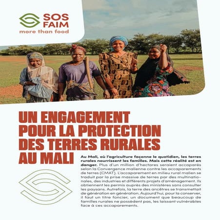 Brochure BSP 2016 | PDF
