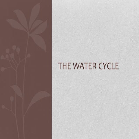 The water cycle ppt | PPT