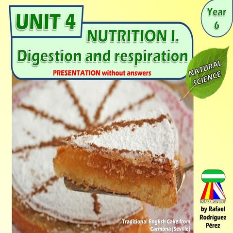 Presentation - Nutrition I (digestion & respiration) | PDF | Nutrition ...