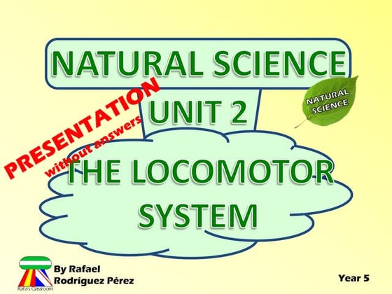 Cbse 4th science my body : Internal organs | PPT