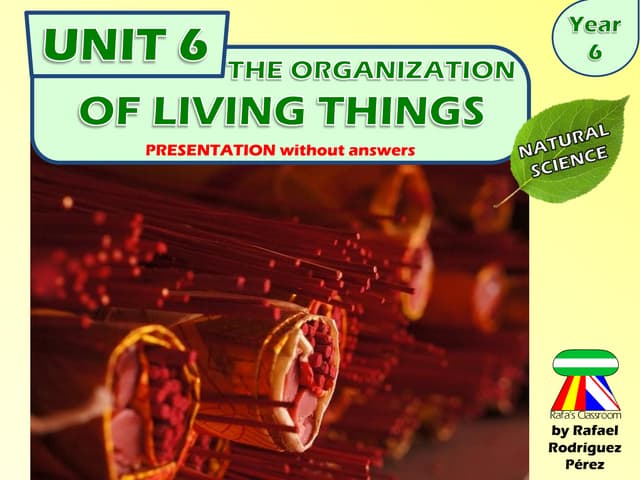 3. Grade-7-SLM-Q2-Module-2-Levels-of-Biological-Organization-2nd-Ed.pdf ...