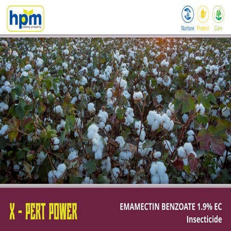 HPM X-Pert Power (Insecticides) Presentation | PDF