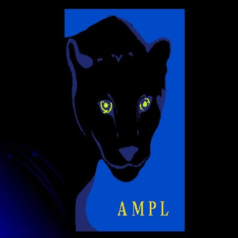 Ricerca Operativa - AMPL | PPT | Programming Languages | Computing