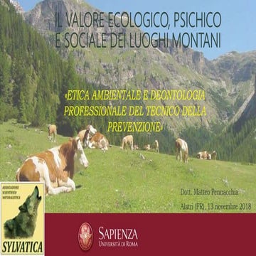 Note sul principio di precauzione 2013 | PDF
