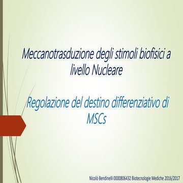 Regolazione del destino differenziativo di MSCs | PPT