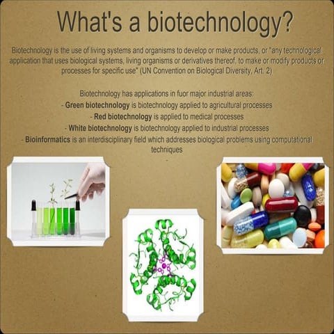 Presentazione biotecnology | PPT