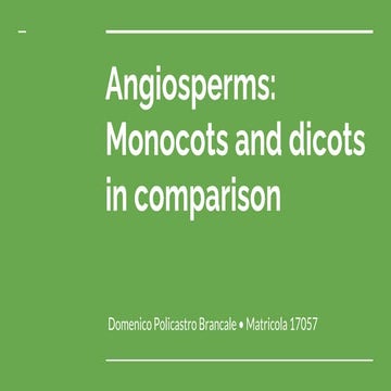 Comparing Monocot and Dicot Plants PowerPoint | PPT