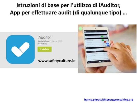 IAuditor Example | PDF | Business | Business and Finance