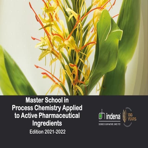 Development of Chemical and Pharmaceutical Documentation | PDF